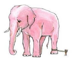 The Elephant Rope (Belief) ⋆ Sanuj's Corner